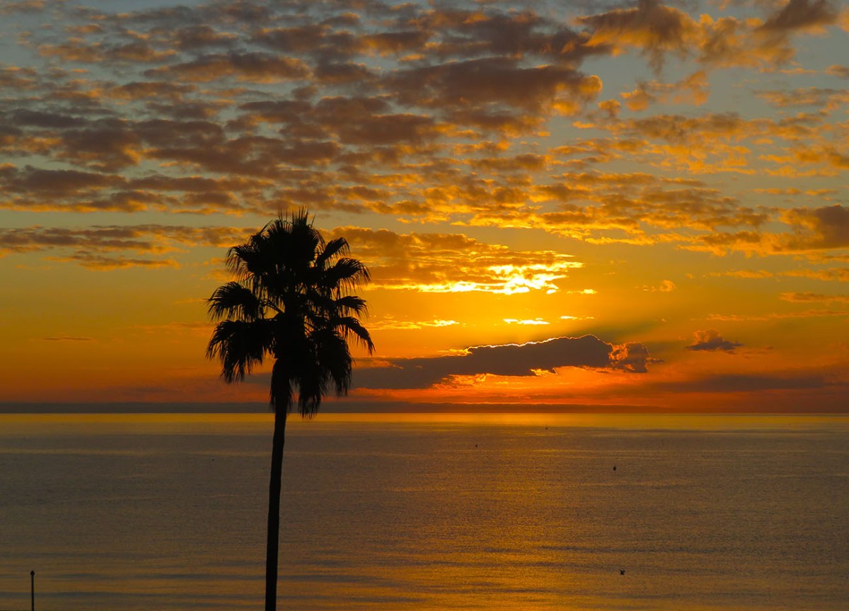 Fustercluck – Moving with Mitchell