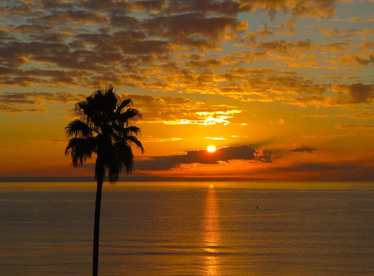 Fustercluck – Moving with Mitchell