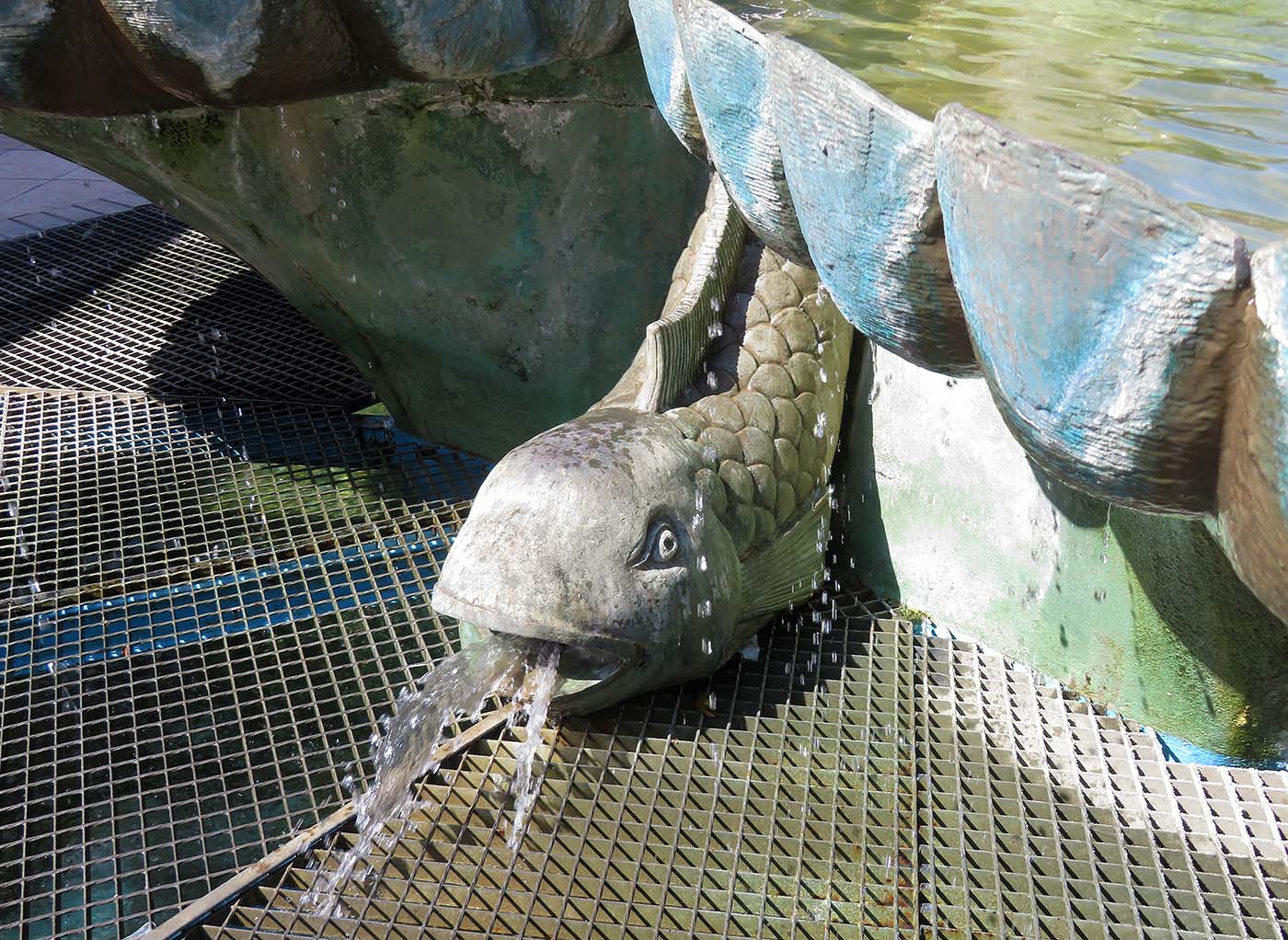 A vomiting cow / Una vaca vomitando – Moving with Mitchell