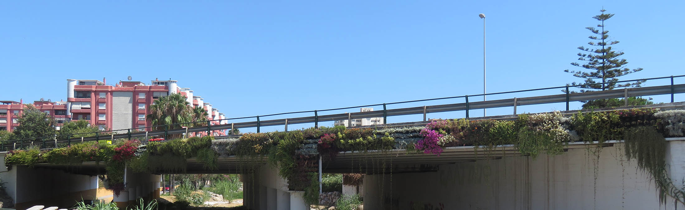 Juan way or another / Calles de Juan – Moving with Mitchell