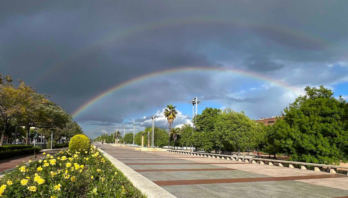 Rainbow chocolate sweetness / Arcoíris chocolate dulzura – Moving with ...