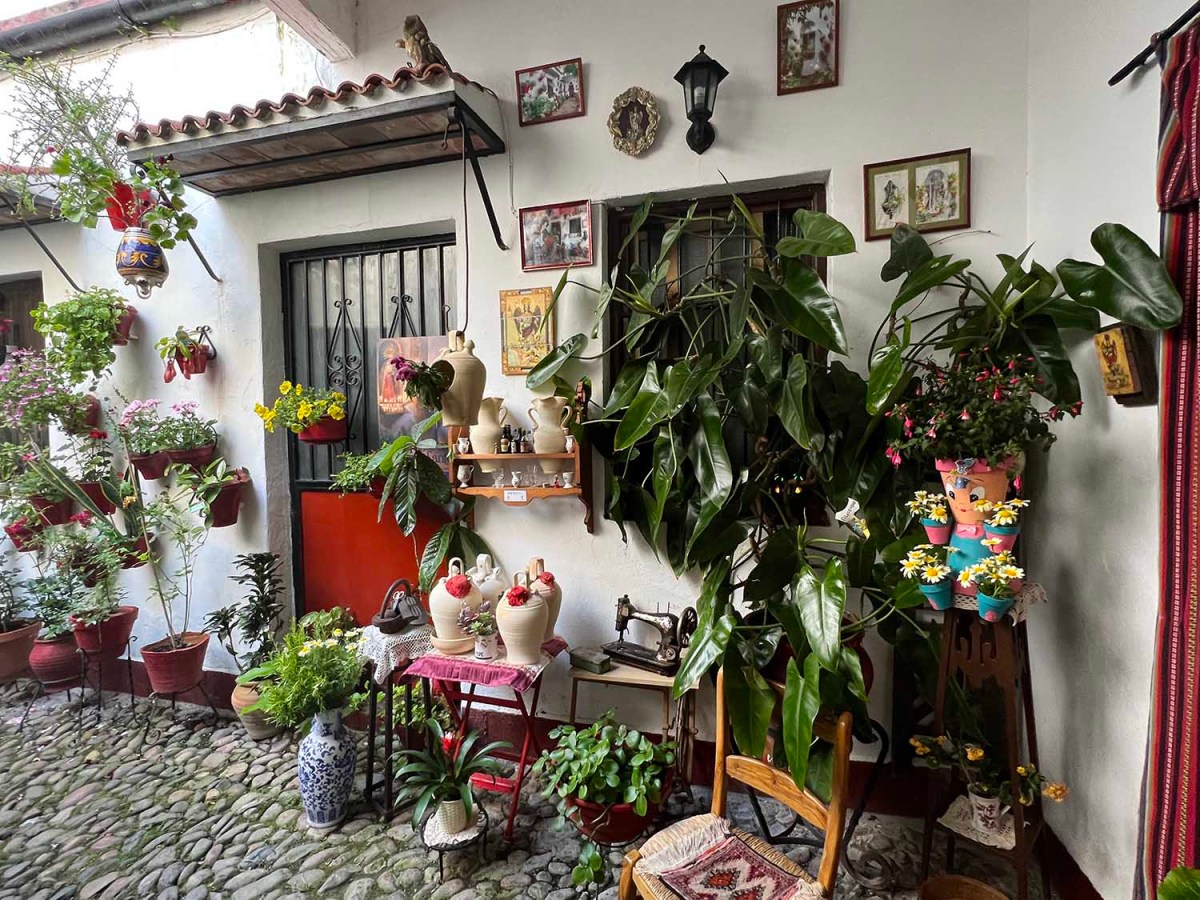 Microball Douchette? / ¿Duchette de microbolas? – Moving with Mitchell