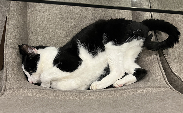 Microball Douchette? / ¿Duchette de microbolas? – Moving with Mitchell