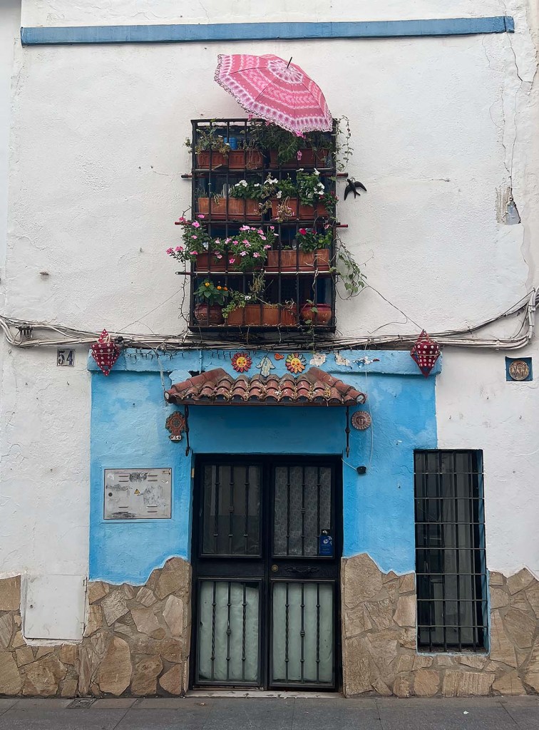 Soy capitán, soy capitán – Moving with Mitchell