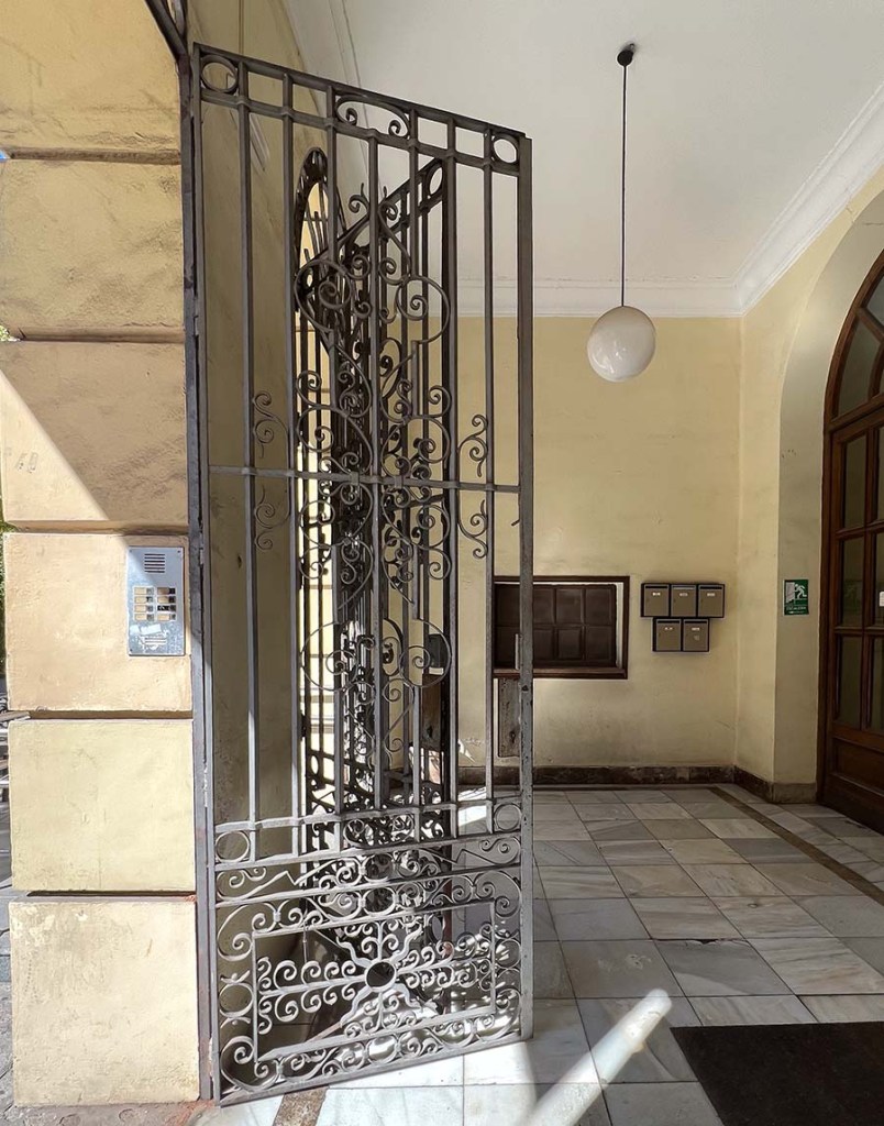 Nameless titi lady of the night / Dama de la noche sin nombre titi ...